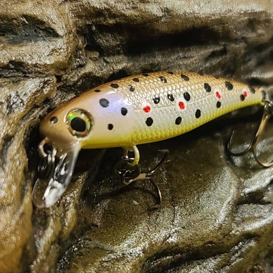 Brown Trout Minnow | McDowell's Custom Baits