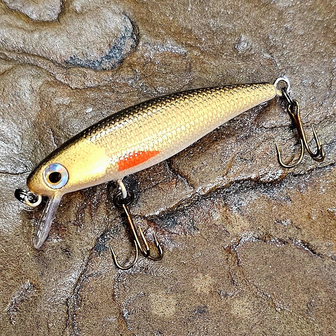 Golden Shiner Minnow | McDowell's Custom Baits